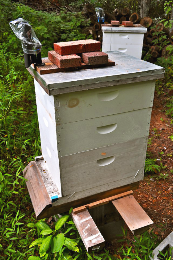 CS Photo Gallery | Computer Science Department